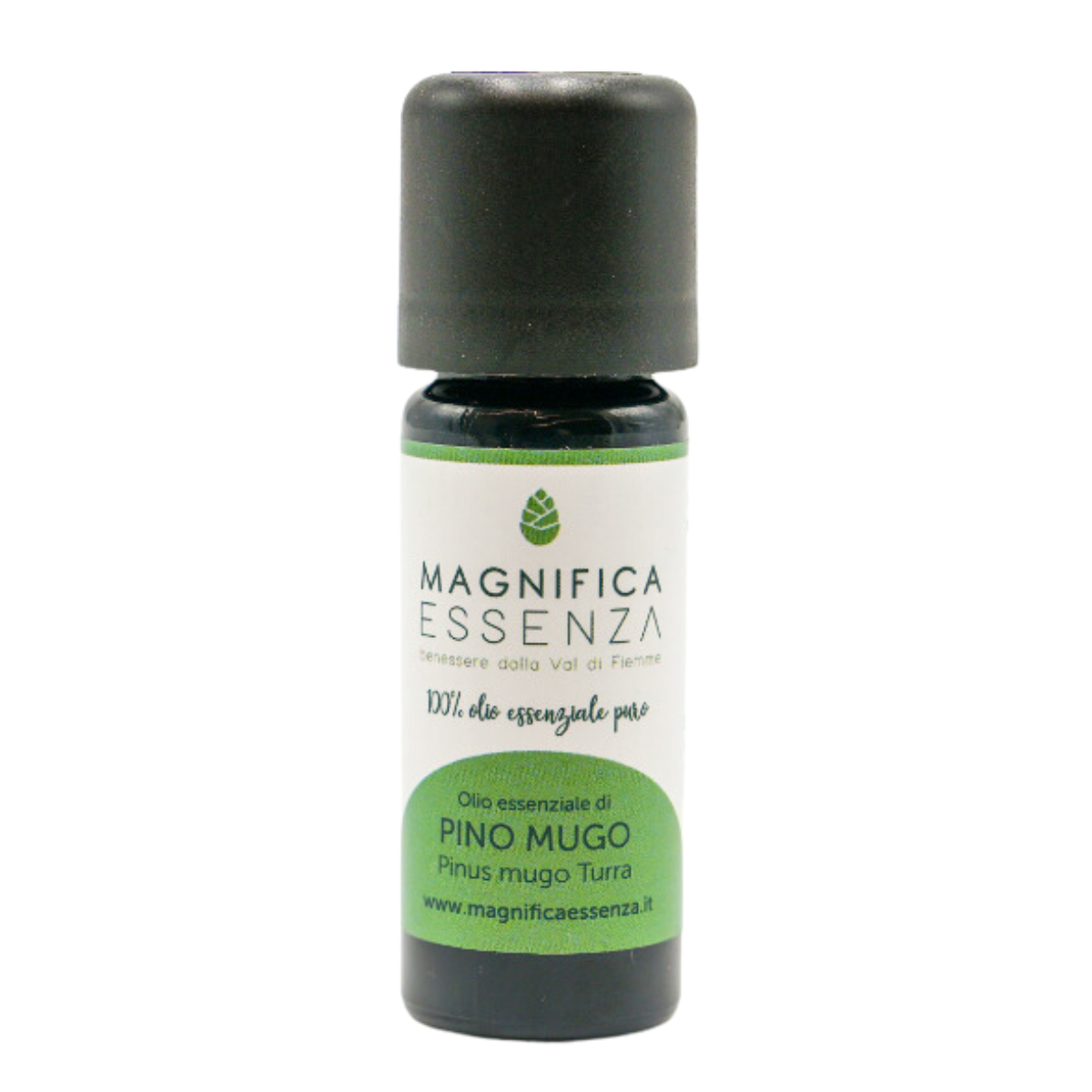 Olio Essenziale di Pino Mugo spontaneo, 10ml